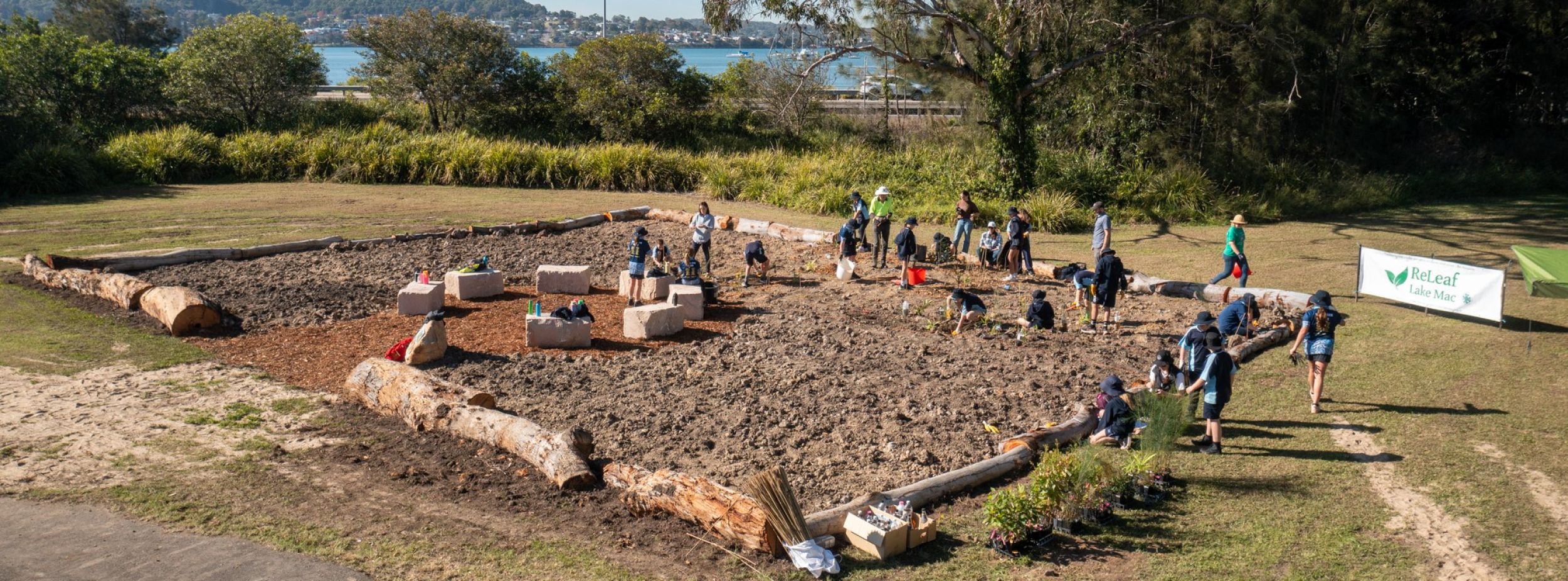Tiny Forests | Earthwatch Australia